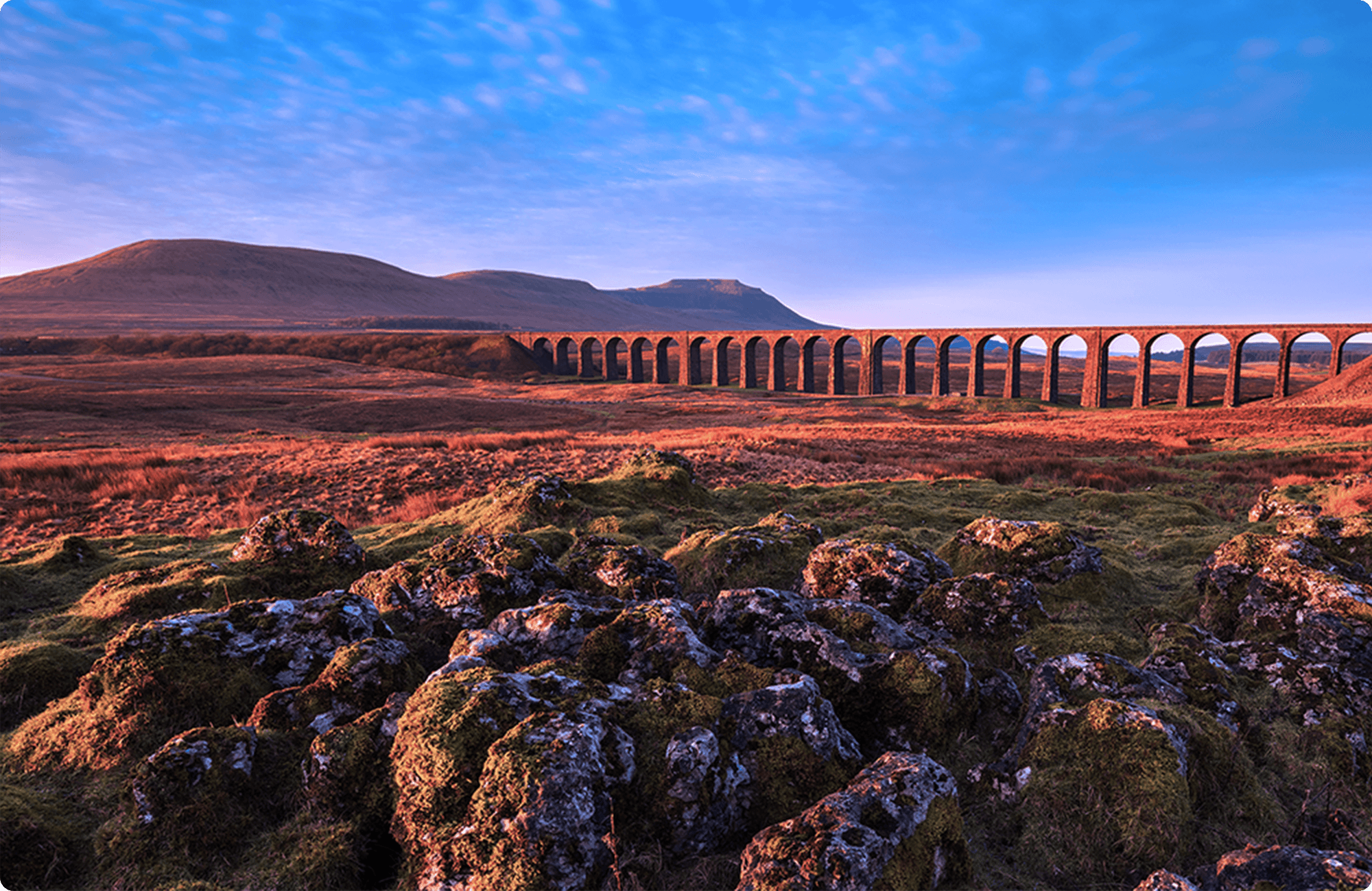 StarV View - MEIZU Global